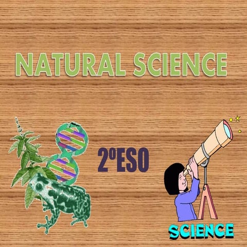 Introduction 2º | PPT