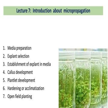 Introduction about micropropagation | PPT