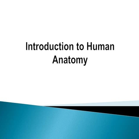 Introduction to Human Anatomy | PPTX