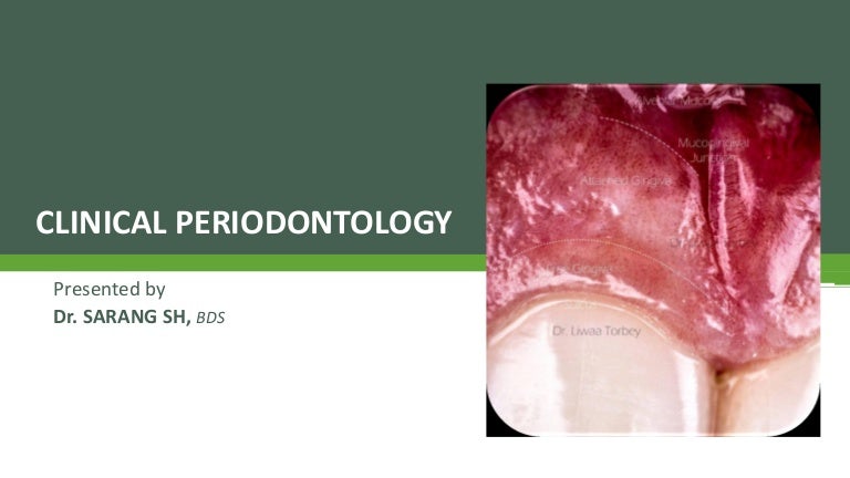 Clinical Periodontology - Introduction & Anatomy