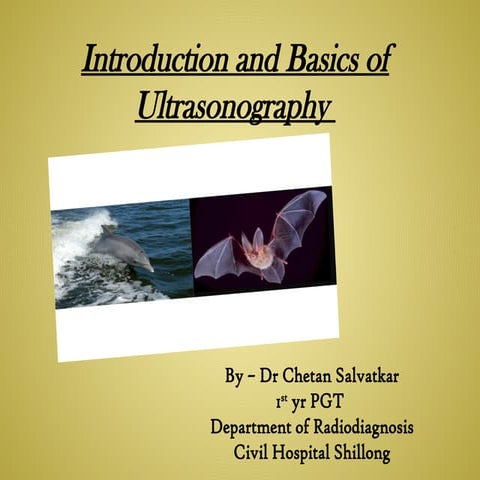 Basics of Ultrasound | PDF