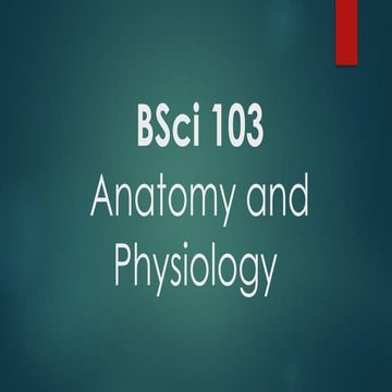 Introduction Anatomy And Physiology 001 Pptx