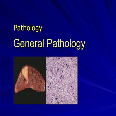 Introduction cell injury pathology lecture.ppt