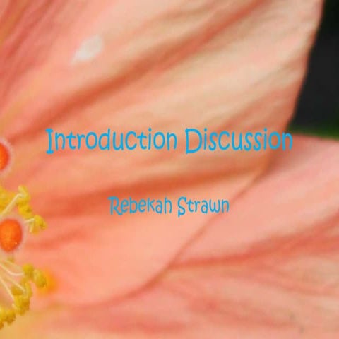 Introduction Discussion- Economics | PPT