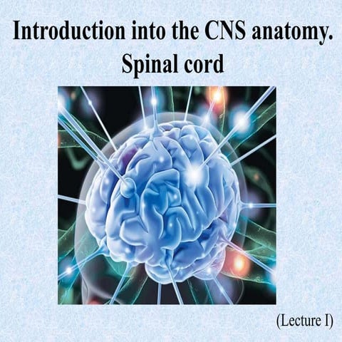 Introduction into CNS.pptx