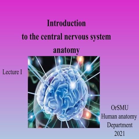 Introduction into CNS+Spinal cord 2021-2.pptx
