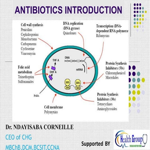 introduction microbials.ppt