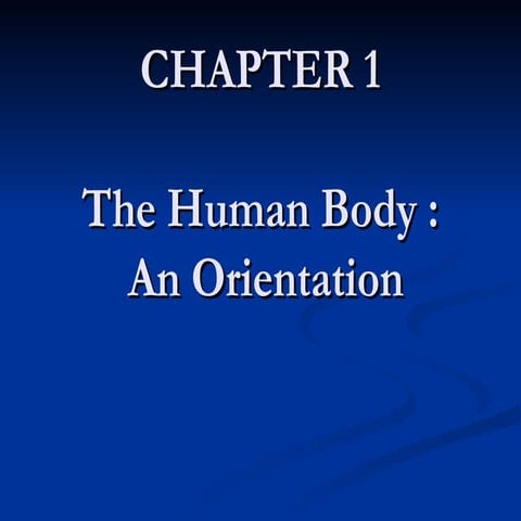 The Human Body : An Orientation and Introduction | PPT