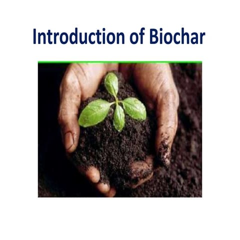 biochar matters in plants-200829220240.pptx