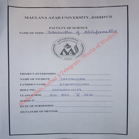 Mock IMP space exploration Presentation.pdf