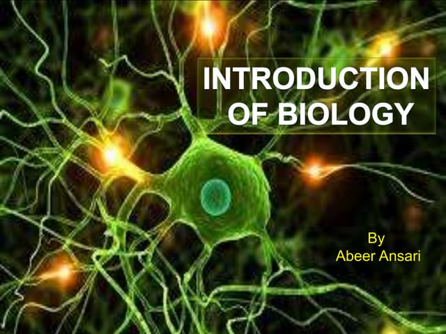 Lesson 1 Introduction to Biology | PDF