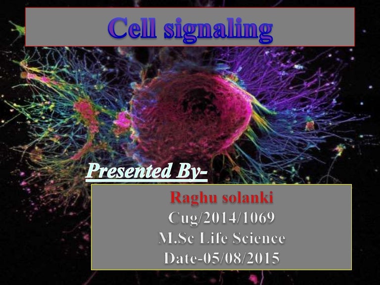 Cell Signaling