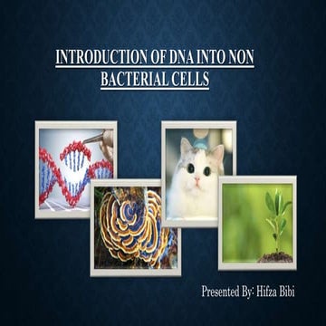 Introduction of dna into non bacterial cells | PPTX
