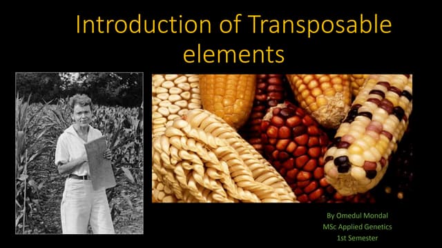 Transposons ppt | PPTX