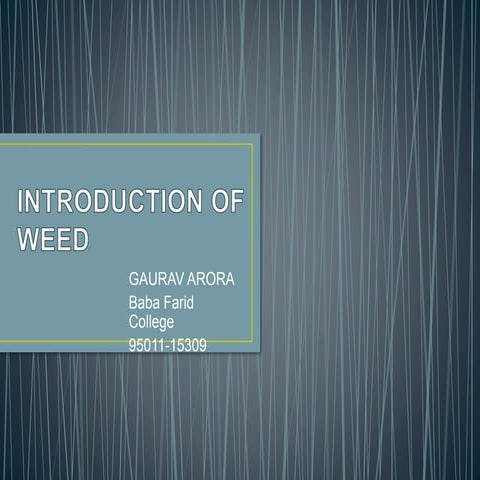 Introduction of weed | PPTX