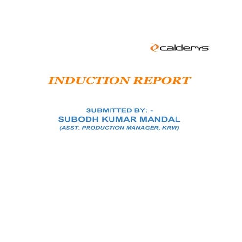 INTRODUCTION REPORT FOR KATNI REFRACTORY WORKS | DOCX