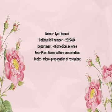 INTRODUCTION The rose plant belongs to plant family | PDF