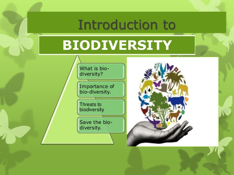 Introduction to Biodiversity