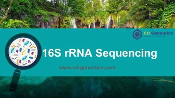 16 s rRNA Gene Sequencing for Bacterial Identification | PPT