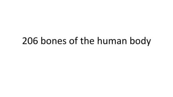 Introduction to 206 bones of the human body | PPT