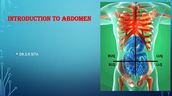 MIDLINE STRUCTURES OF NECK anatomy PowerPoint | PPTX | Thyroid ...