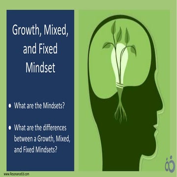 Introduction to a Growth Mindset | PPTX