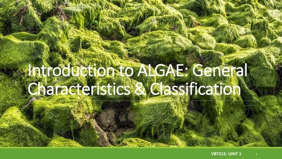 Taxonomic identification of micro and macro algae | PPTX