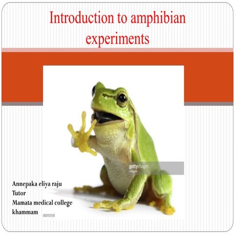 Introduction To Amphibian Experiments Pdf Science