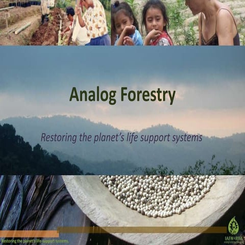 Introduction to analog forestry | PPTX