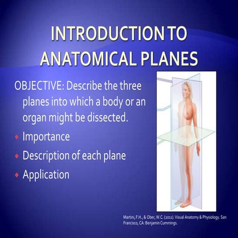 Anatomical terminology | PPT