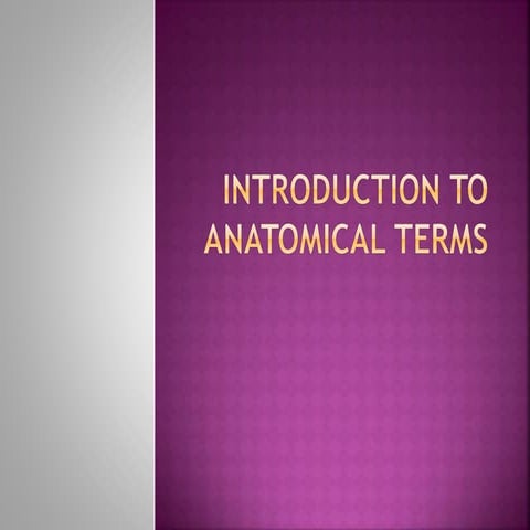 INTRODUCTION TO ANATOMICAL TERMS, anatomy and physiology introduction ...