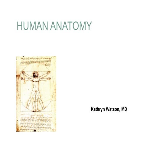 Introduction to anatomy | PPT