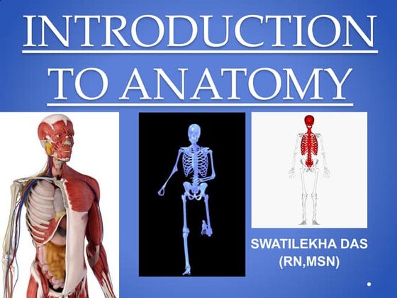 Anatomical position.ppt (1) | PPT