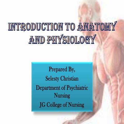 Ppt Introduction To Anatomy And Physiology Powerpoint
