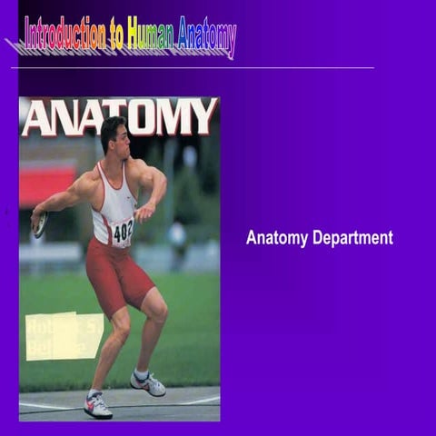 Anatomical terminology | PPT