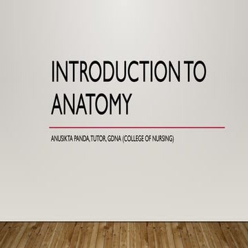 INTRODUCTION TO ANATOMY IN DETAIL PRESENATION | PPT