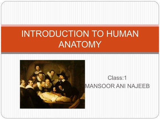 Basic Human Anatomy.Ppt Powerpoint 1 | PPT