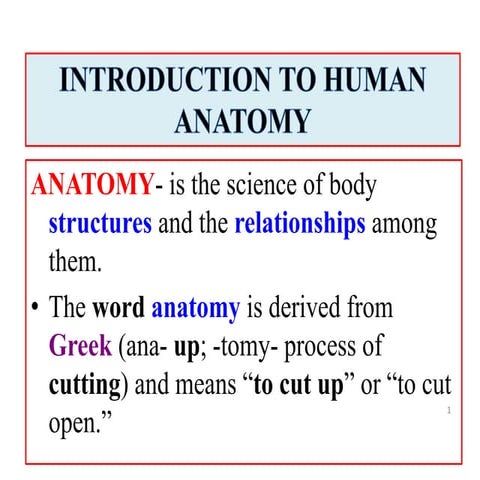 introduction to human anatomy for master degree student | PPT