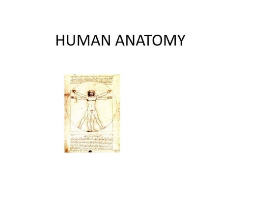 Anatomical Terms, Planes, Positions & Movements-3.pptx