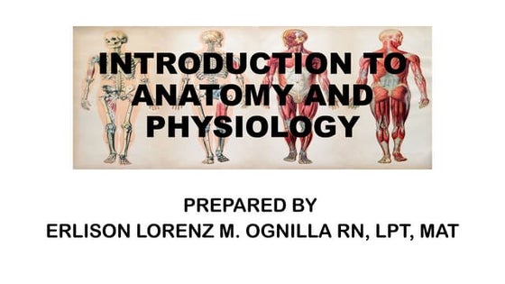 Introduction to Human Anatomy | PPTX | Lung and Respiratory Health ...