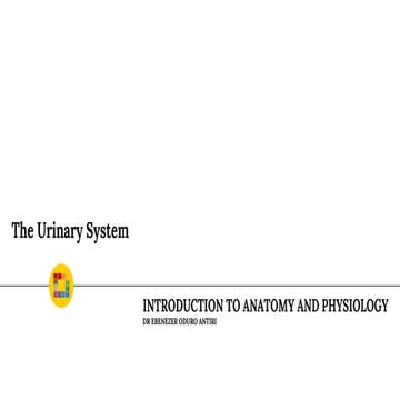 Introduction To Anatomy And Physiology 06 Pdf