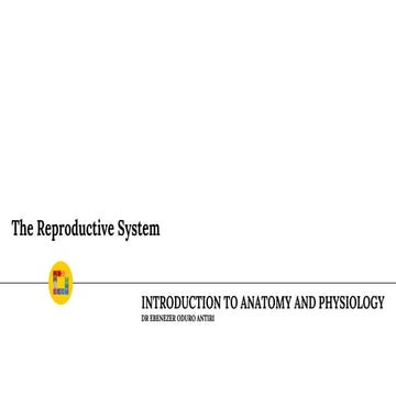Male & female reproductive system | PPTX