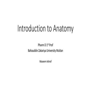 Introduction to Anatomy (Lec 2) 23-24.pdf