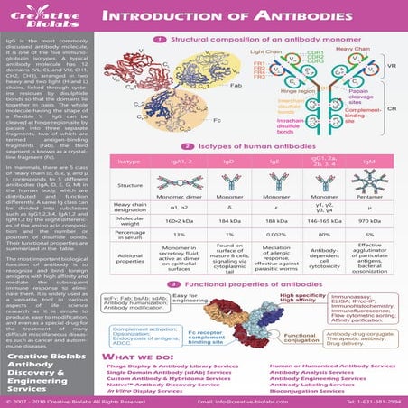 Introduction to antibodies | PDF