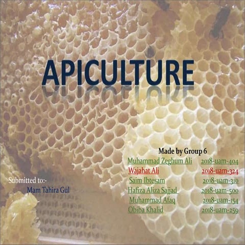 Introduction to Apiculture.pptx | Beekeeping | Hobbies & Interests