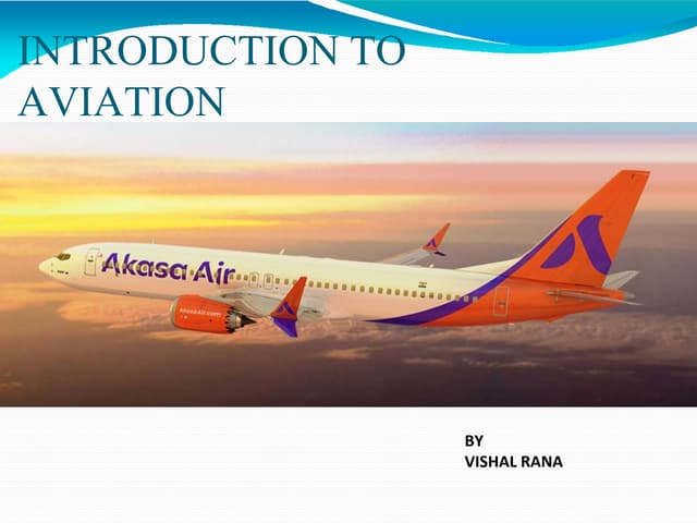 Organisational structure of airline industry | PDF | Air Travel ...