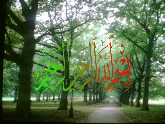 4 importance of biochemistry | PPTX