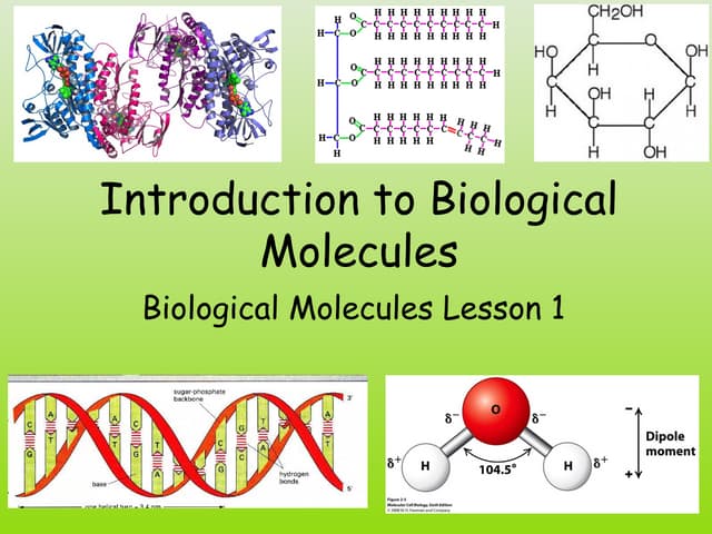 Photosynthesis 5 the light dependent reaction | PPTX