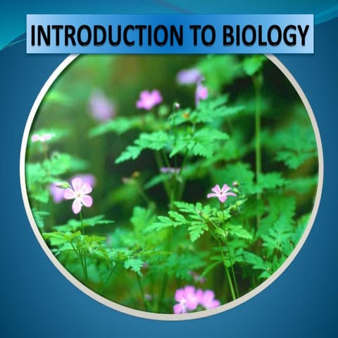 Introduction to biology | PPT