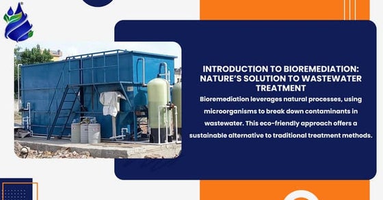 Overview of the Wastewater Treatment Process.pdf